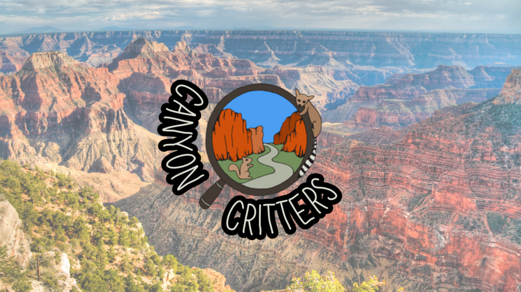 Canyon Critters: Call of the Wild - Give to UGA