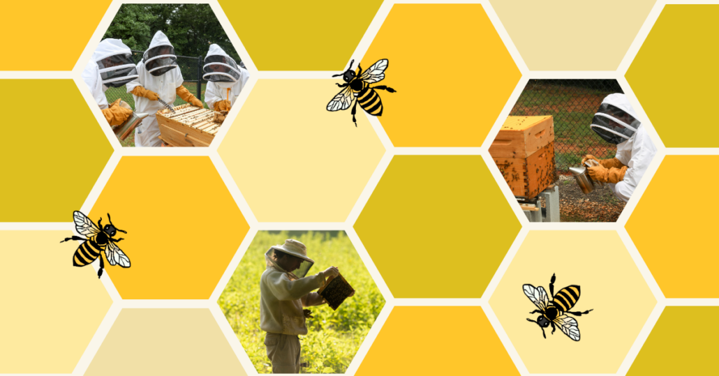 Support UGA's Vet Med Bee Program