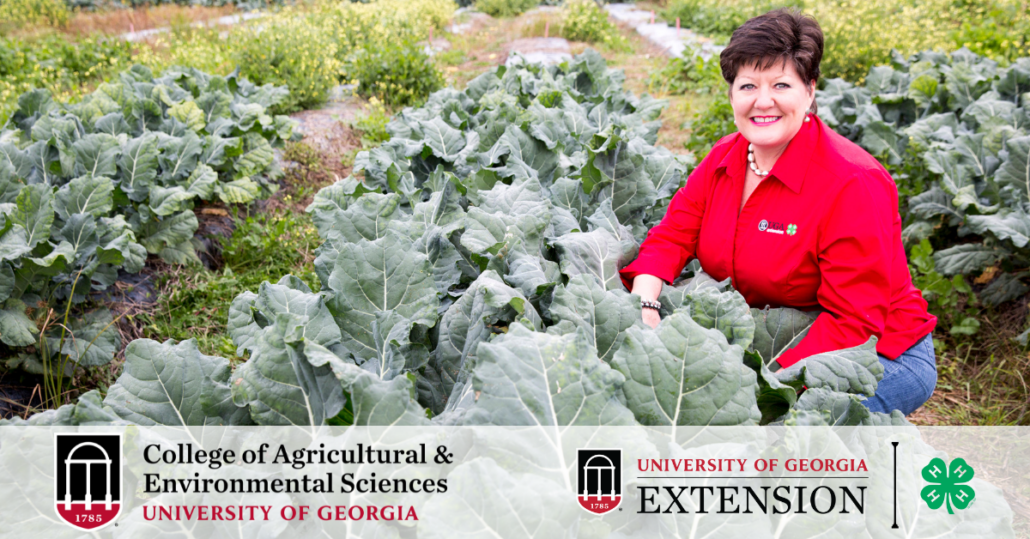 Dr. Laura Perry Johnson's Retirement - Give to UGA