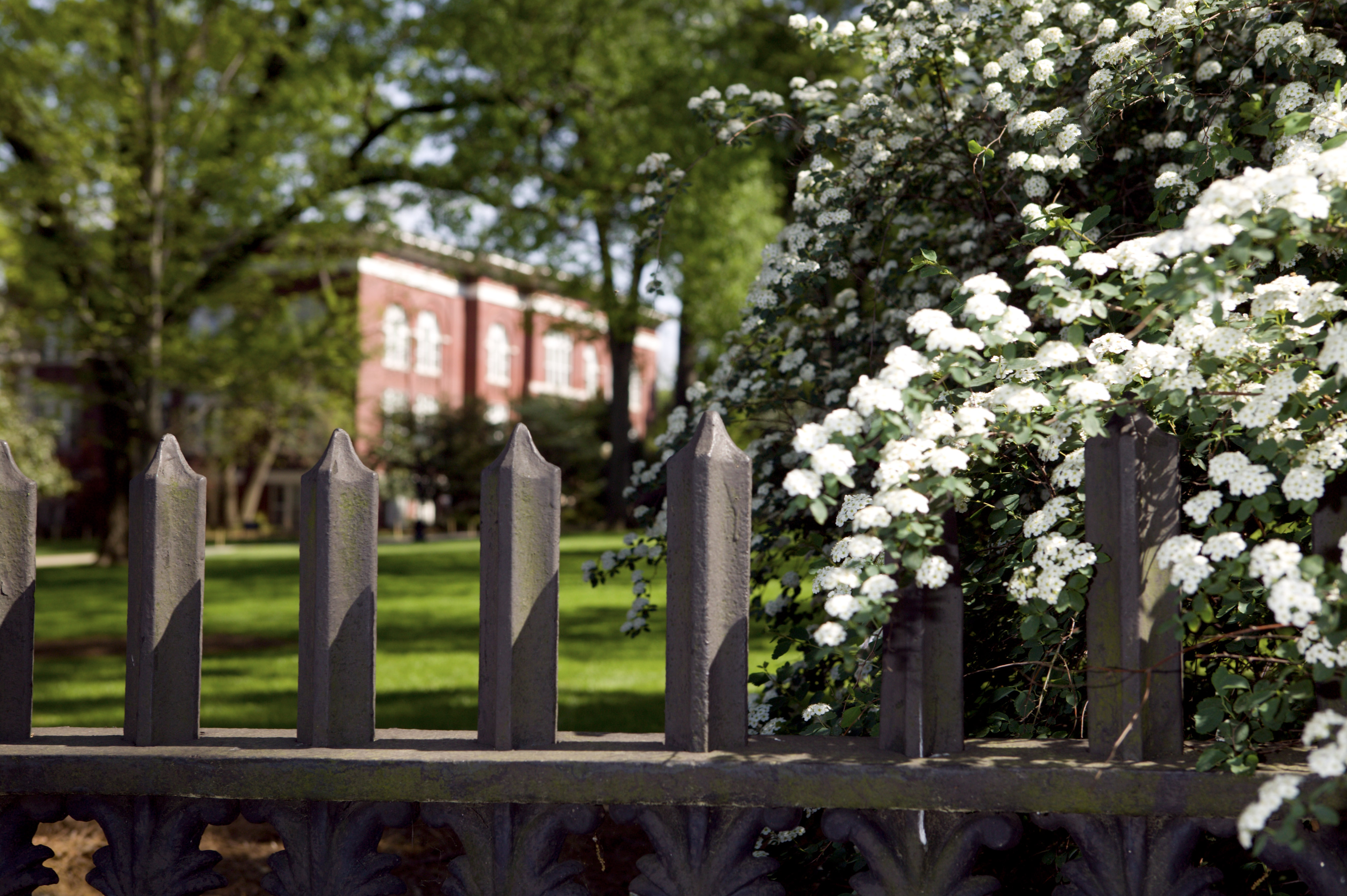 The Campaign Connection: Commit to Georgia campaign news from UGA