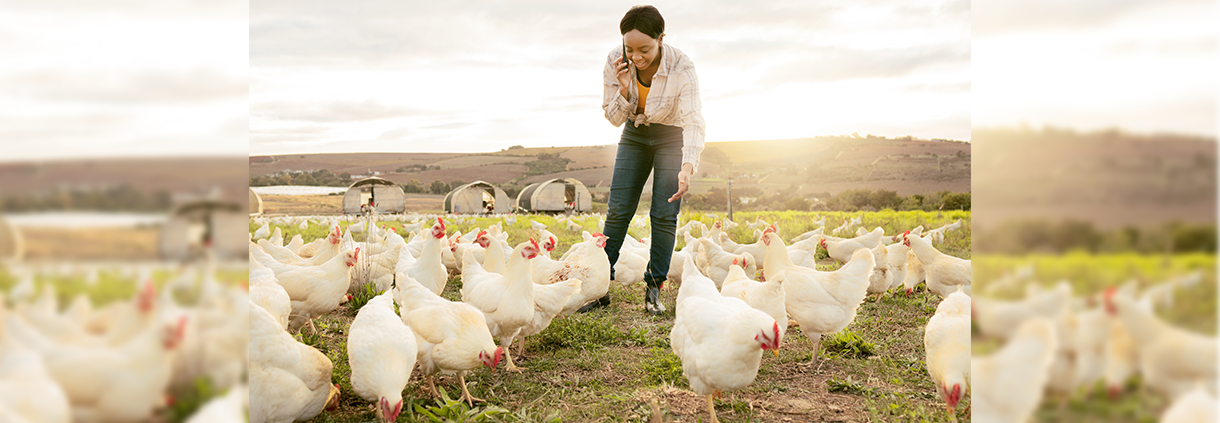 Poultry health is top priority for UGA-Merck partnership - Give to UGA