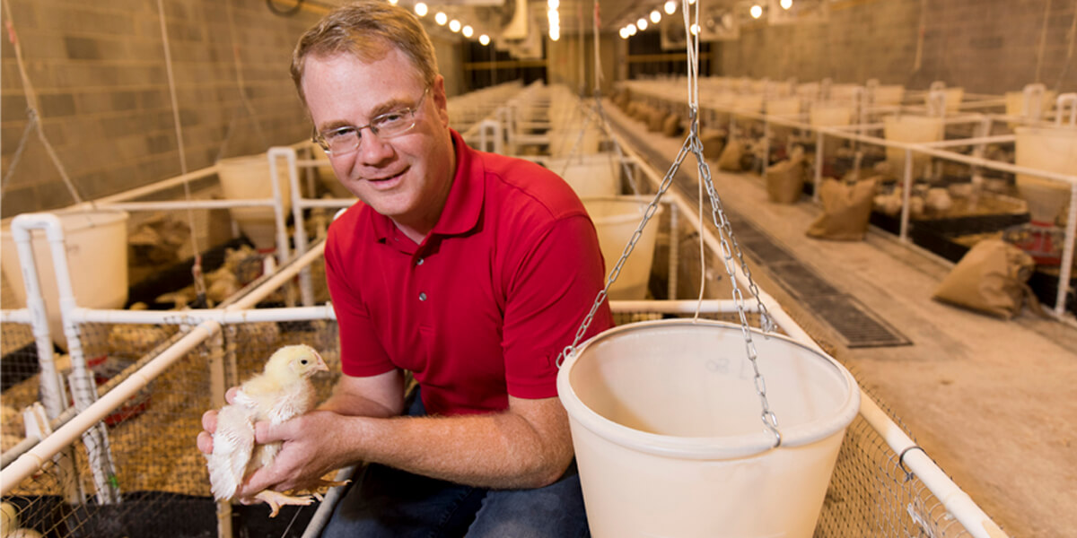 Foundation's $2.6M pledge supports UGA poultry science - Give to UGA