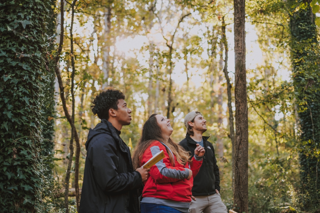 Commit to the Warnell School of Forestry and Natural Resources at UGA