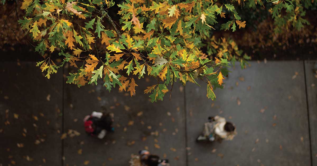 Endowment Reports - Give to UGA